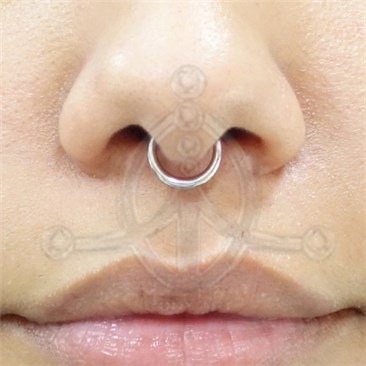 Septum BIG GOLDEN RING - Akira Distribuidor Material Tattoo y Piercing ...